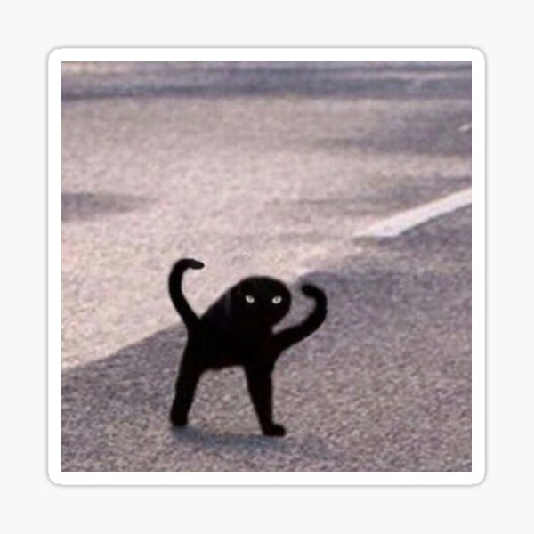 "cursed cat" Sticker by bootlegshits | Redbubble