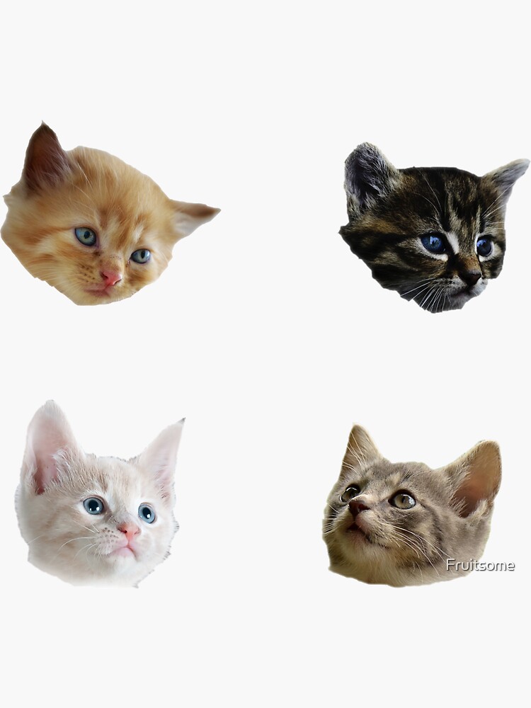 "Cute Kittens Sticker-Pack" Sticker for Sale by Fruitsome | Redbubble