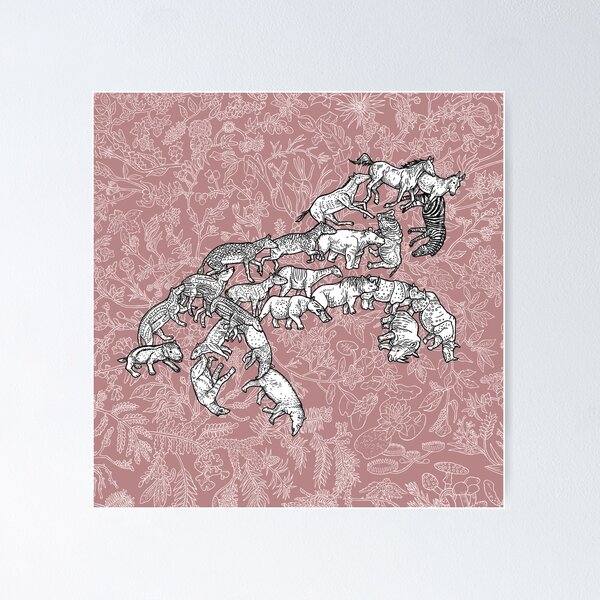 "Perissodactyla - Evolution - Pink Background" Poster for Sale by ...