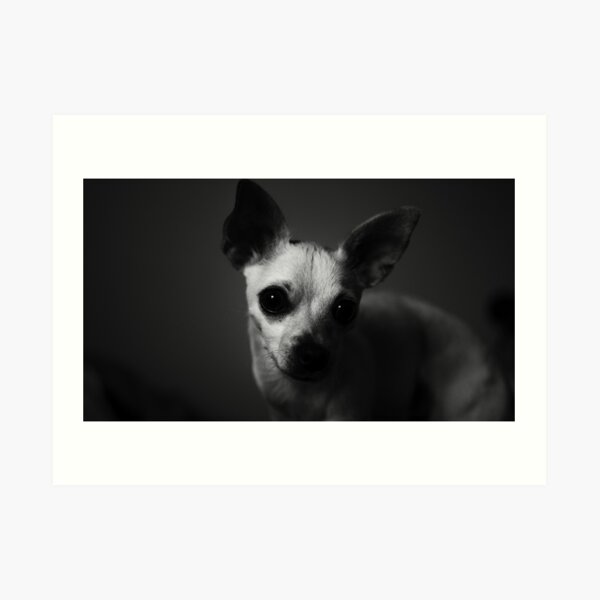 "Pepito" Art Print by AldeBenii | Redbubble