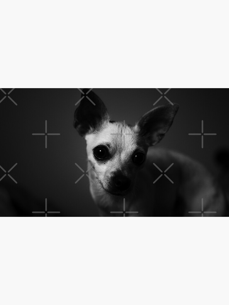 "Pepito" Art Print by AldeBenii | Redbubble