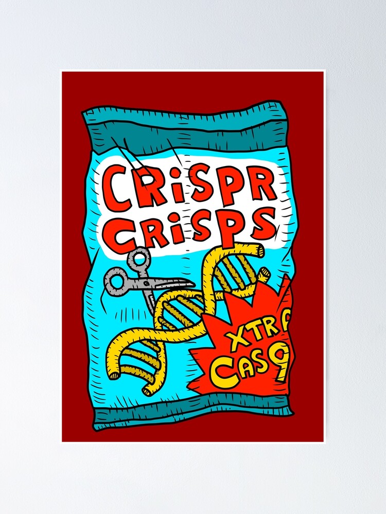 "crispr cas9 crisps" Poster for Sale by jjartanddrawing | Redbubble