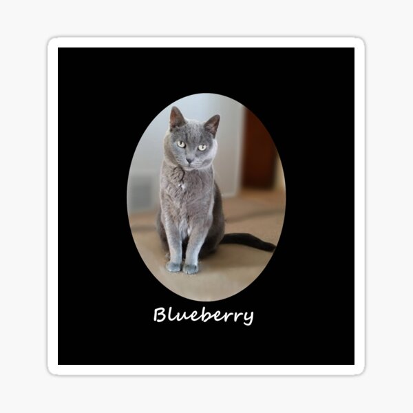 "Blueberry" Sticker by CherokeeGal1975 | Redbubble