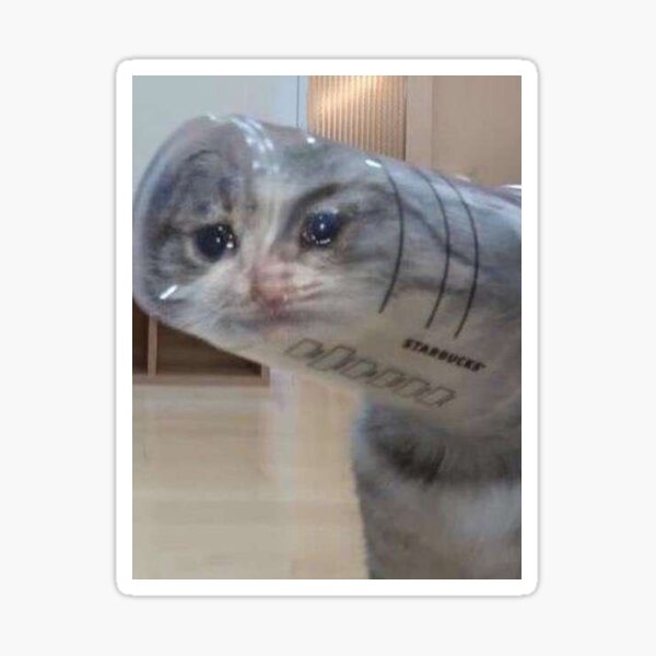 "Sad cat meme" Sticker by hannahblannana | Redbubble