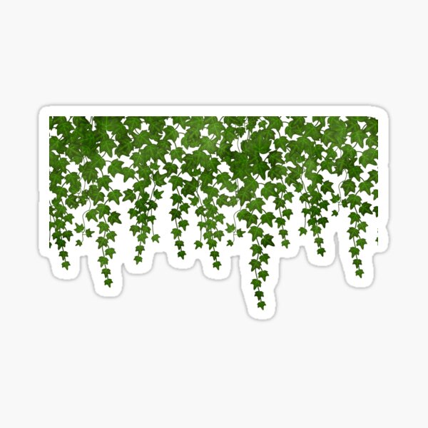 "Ivy" Sticker for Sale by alexvoss | Redbubble