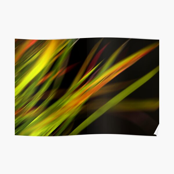 "Rubra" Poster by BananaPancake | Redbubble