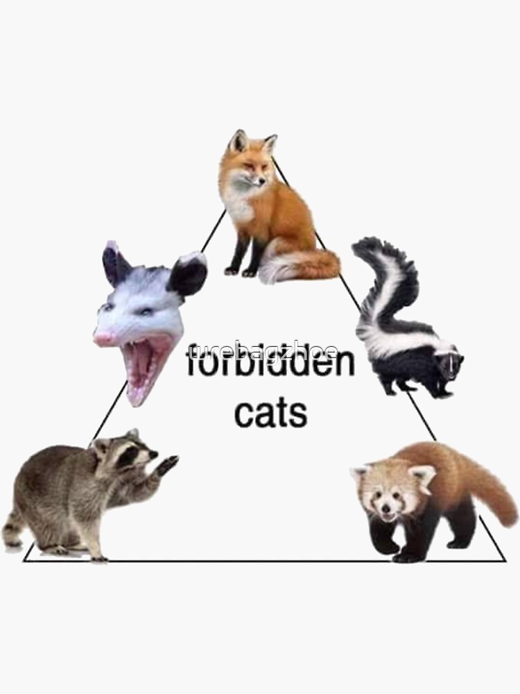 "forbidden cats" Sticker for Sale by wrebagzhoe | Redbubble