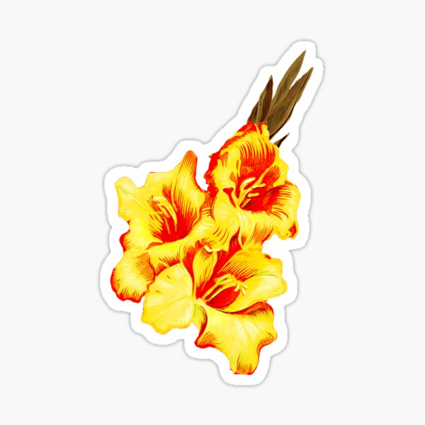 "Dame Edna Everage Gladdie Time Yellow Gladiolus by Jock Mooney ...