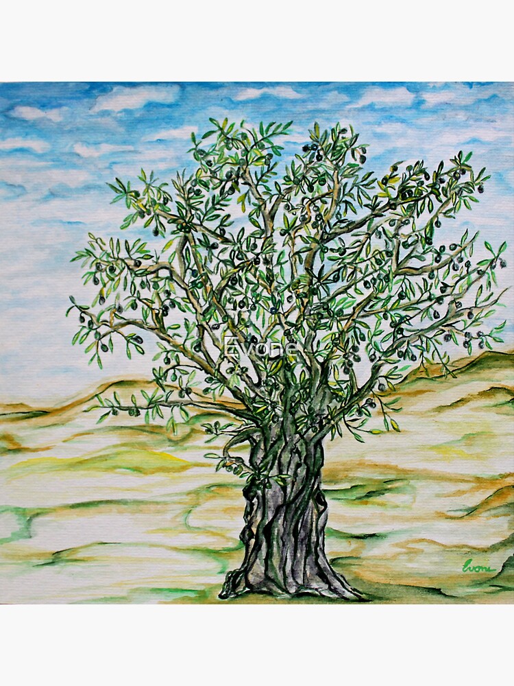 "Olive Tree" Sticker for Sale by Evone | Redbubble