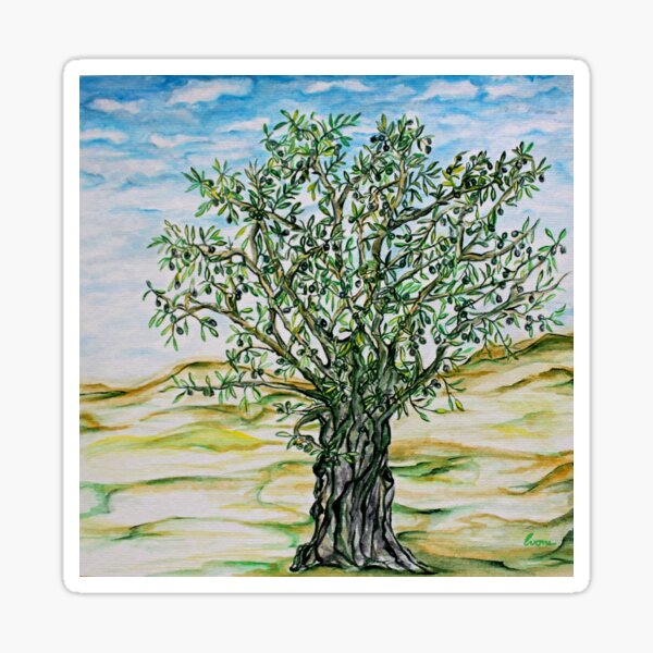 "Olive Tree" Sticker for Sale by Evone | Redbubble