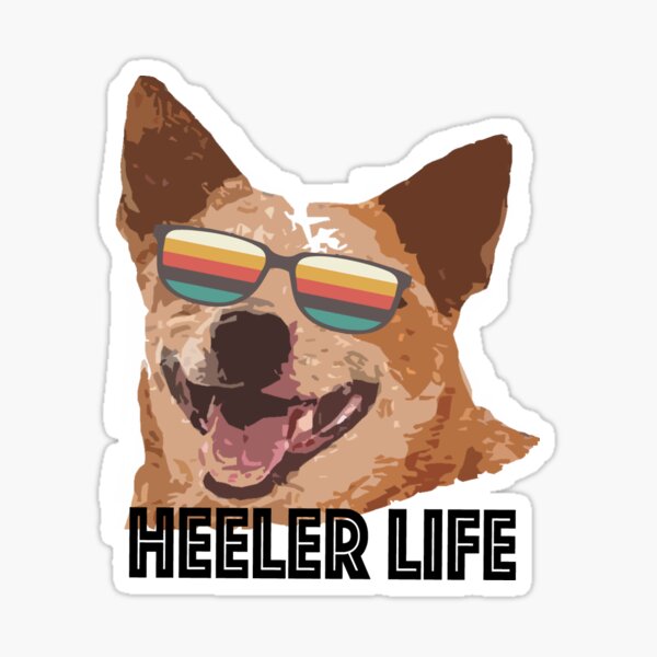Red Heeler Gifts & Merchandise | Redbubble