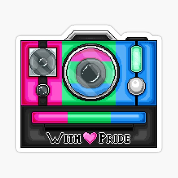 "Poly Pride Pixel Camera" Sticker for Sale by MetallicWings15 | Redbubble