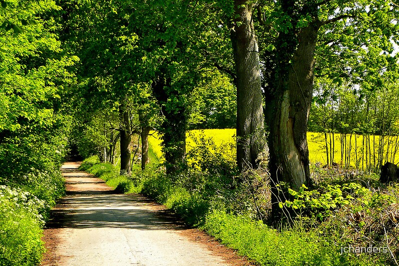 "Walking on the spring country road" by jchanders | Redbubble