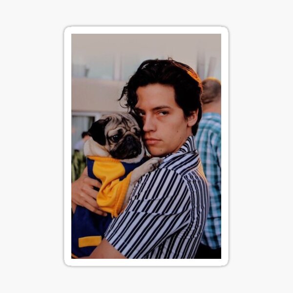 Riverdale Stickers | Redbubble