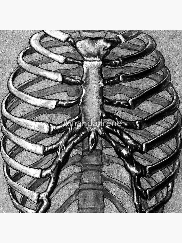 "Black and White Skeleton Rib Cage" Throw Pillow for Sale by ...