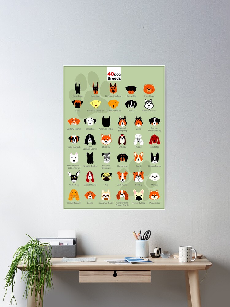 Guide To Purebred Dogs Poster