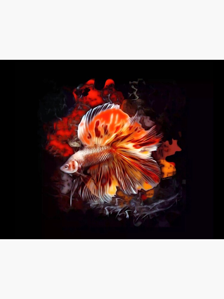 "A Bright Betta Fish " Poster for Sale by Digital-designs | Redbubble