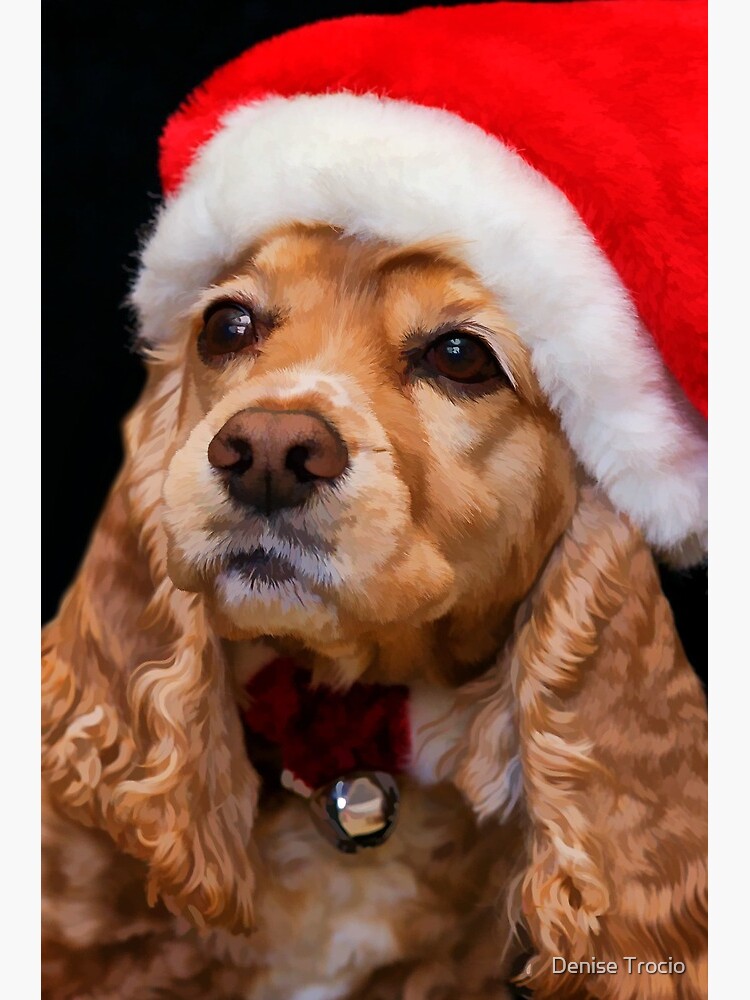 "Cocker Spaniel Wearing Santa Hat" Art Print for Sale by DTrocio ...