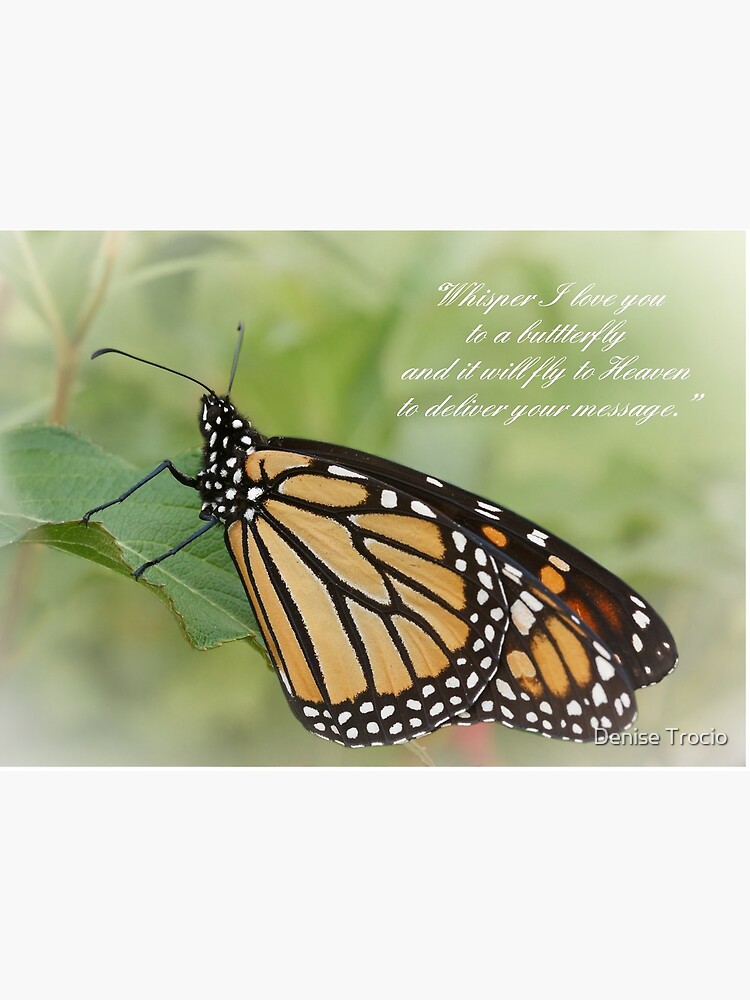 "Whisper I Love You To A Butterfly" Art Board Print for Sale by Denise ...