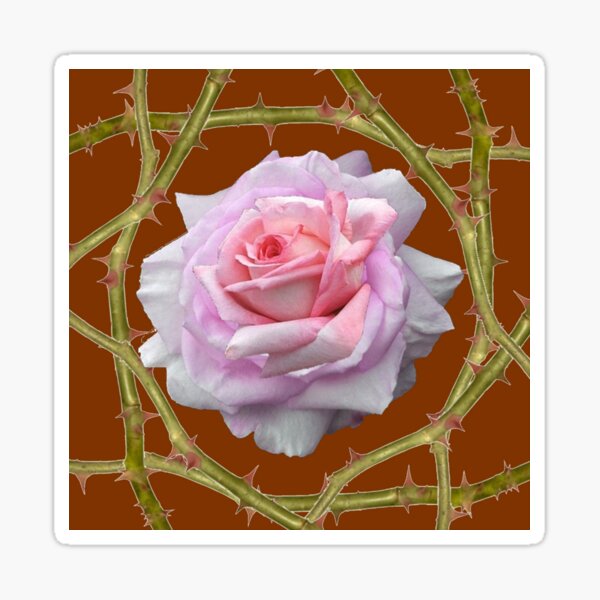 "MODERN ART PINK ROSE & THORNY BRAMBLE CANES BURGUNDY ART" Sticker by ...
