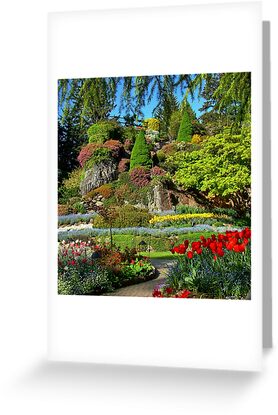 "BUTCHART Gardens in Spring," by AnnDixon | Redbubble