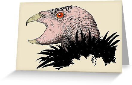 "California Condor pencil sketch" by Pete Janes | Redbubble