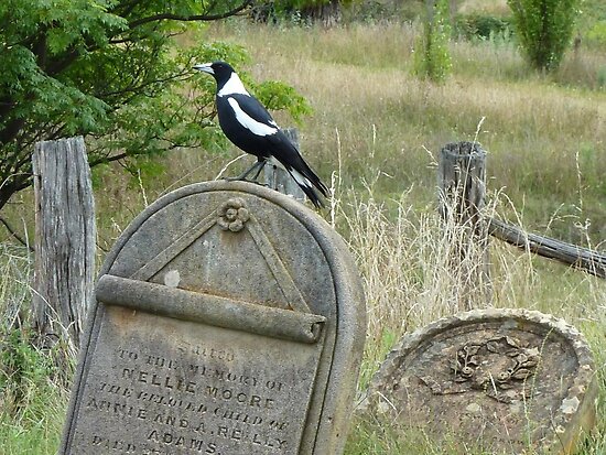 "Castlereagh Cemetery, Isabella Evans " by DashTravels | Redbubble